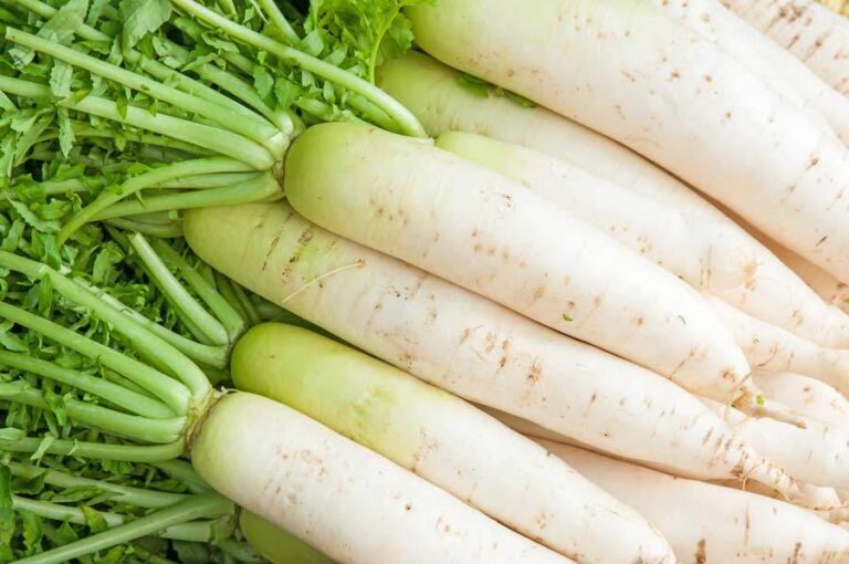 34 Vegetables in Chinese, Plus Bonus Phrases and Vegetarian Dishes ...