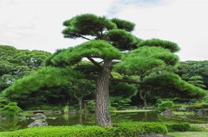 Learn Chinese Characters: 9 Tricks to Effectively Remember Hanzi ...