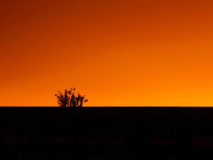 Guide to Colors in Chinese and Their Cultural Significance [With Quiz ...