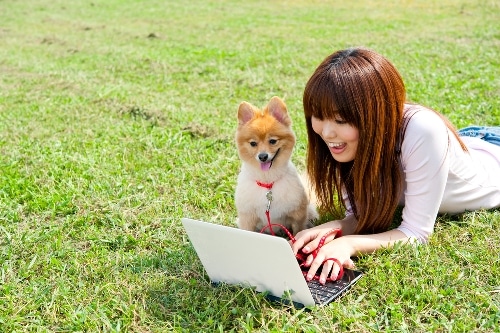 5 Smart Language Programs For Discerning Learners FluentU Language 5 Smart Language Programs For Discerning Learners FluentU Language