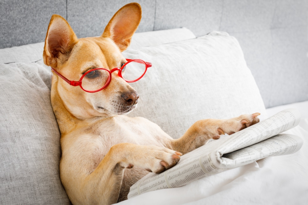 Learn Chinese with News: 8 Mandarin Channels to Bookmark | FluentU