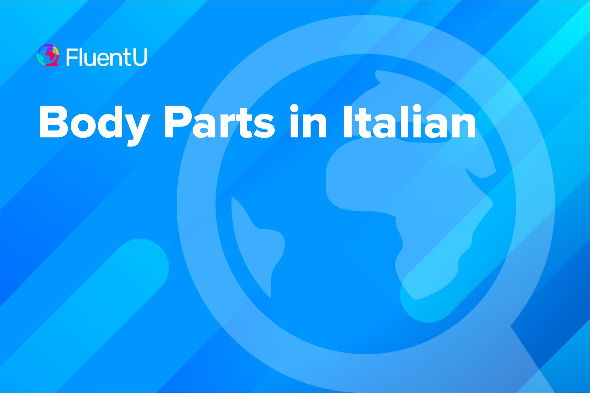 Body Parts in Italian | FluentU