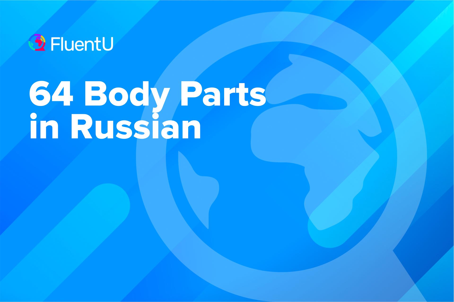 64 Body Parts in Russian | FluentU