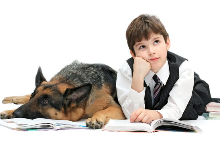 Learn How to Read German: 8 Strategies for Beginners | FluentU