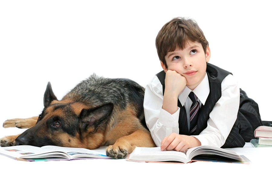 Learn How to Read German: 8 Strategies for Beginners | FluentU