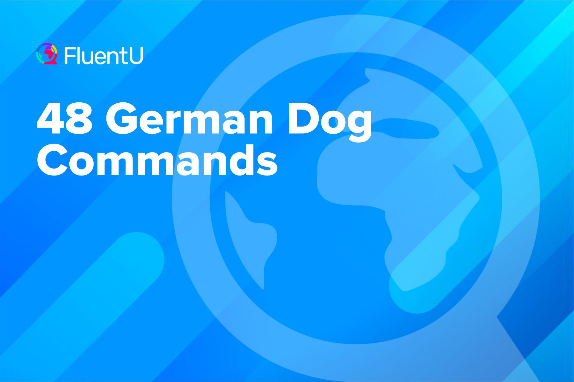 48 German Dog Commands | FluentU