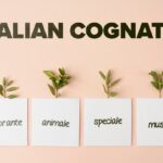 Italian Vocabulary | FluentU