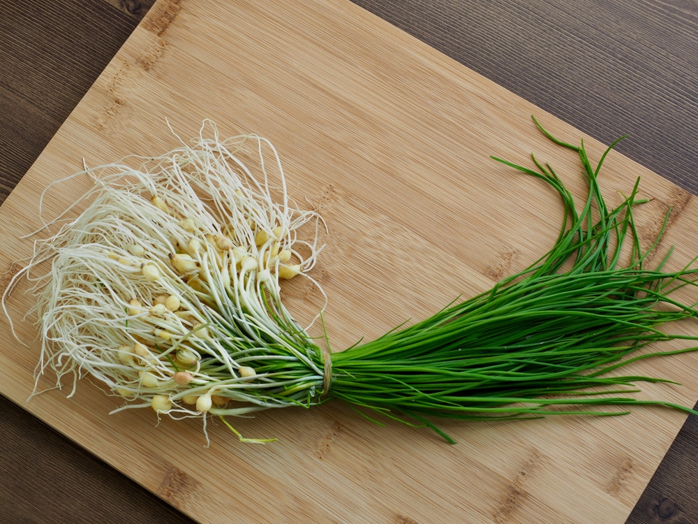 50 Most Common Vegetables to Know in Korean | FluentU