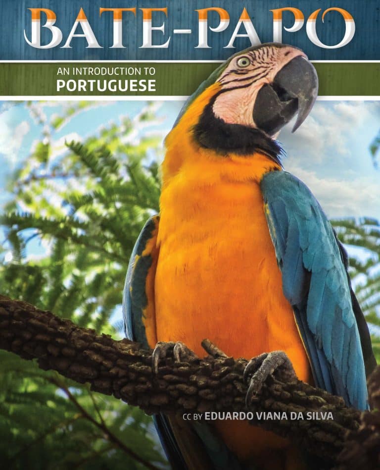 15 Portuguese Grammar Exercise Resources | FluentU