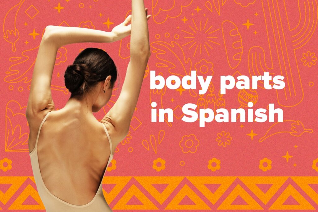 74 Words for Body Parts in Spanish (Plus Idioms and Expressions) | FluentU