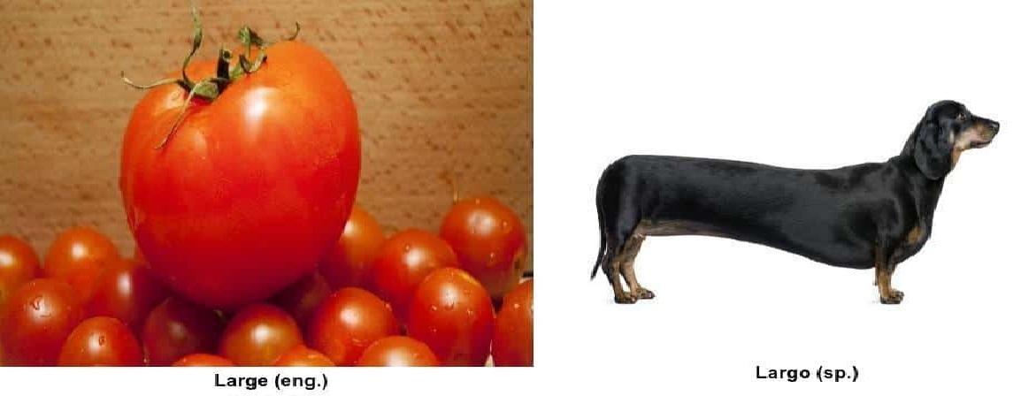 Common False Cognates in Spanish | FluentU