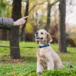 The Complete Guide to Italian Grammar | FluentU