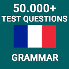 12 Websites for French Grammar Exercises | FluentU