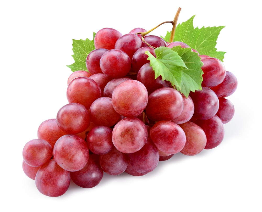 Fruits in French: 38 Fruit Names | FluentU