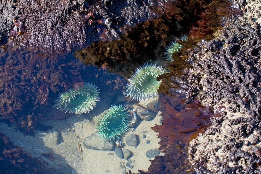 50 English Beach Vocabulary Words for Summer | FluentU