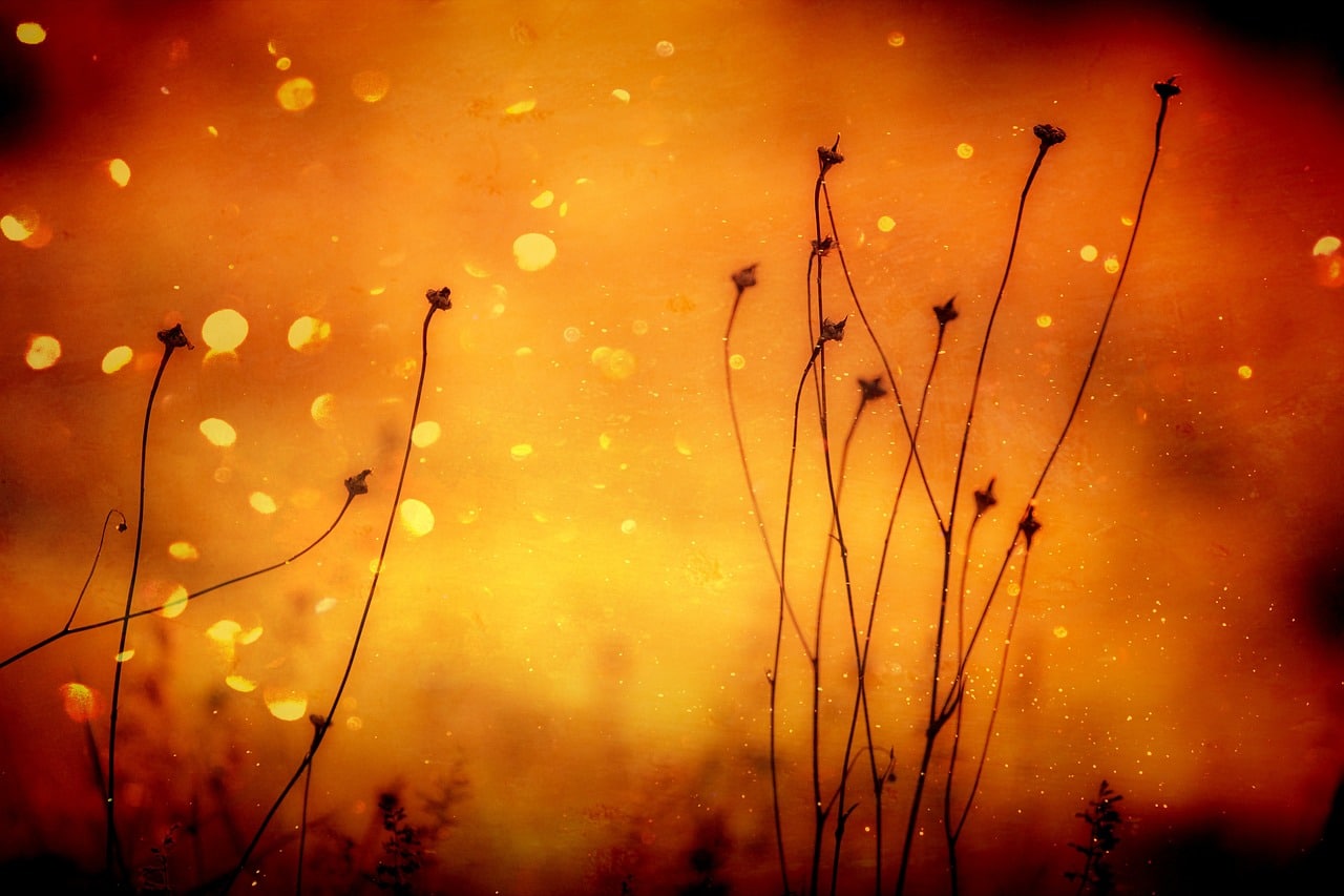 Colors in English: 270+ Words and Phrases | FluentU