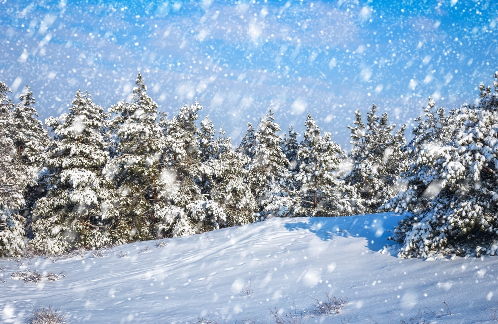 140+ Winter Vocabulary Terms | FluentU