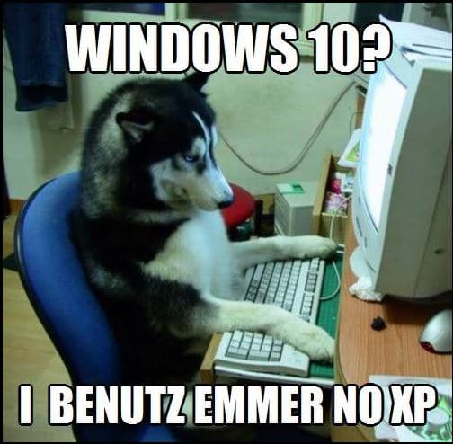 German Memes: 6 Best Places to Find Them Online | FluentU