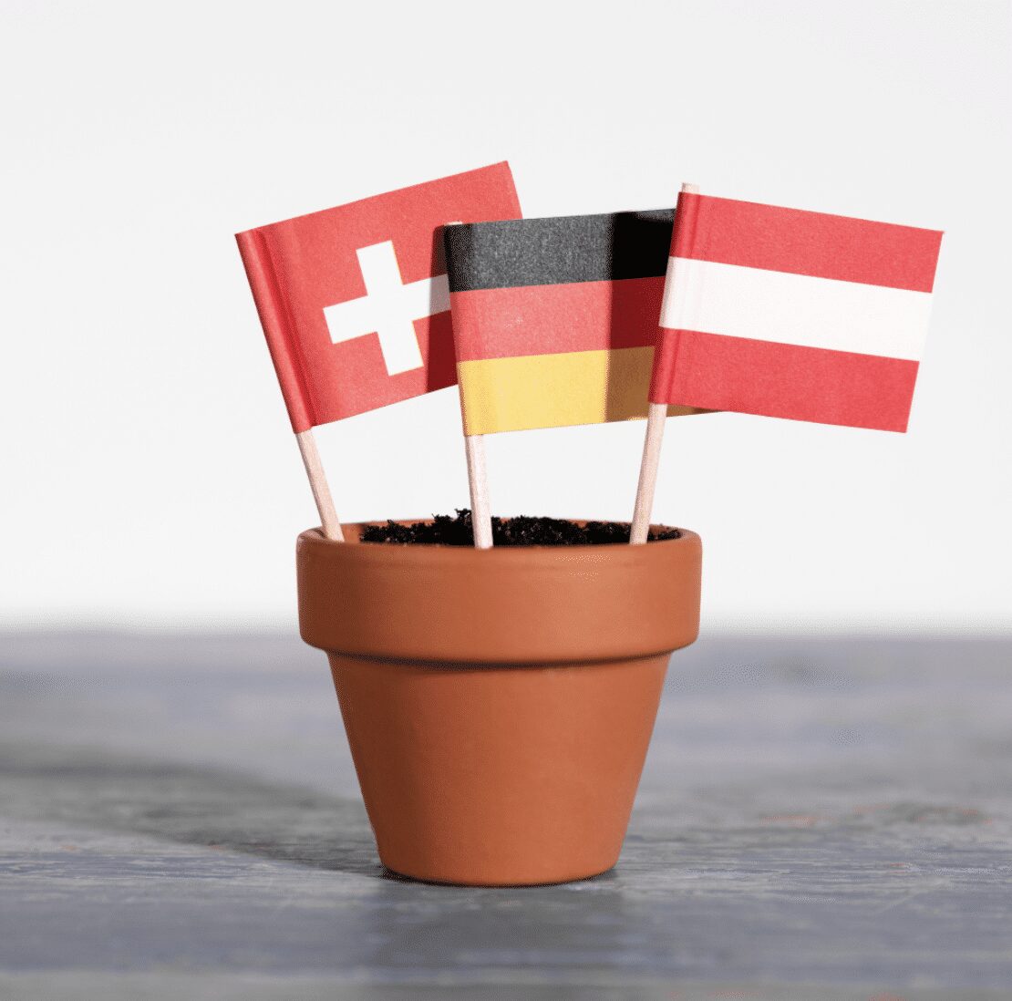 Accents in German: 7 German Dialects from Around the World | FluentU