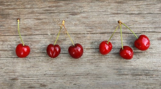 Plural Nouns in German | FluentU Language Learning