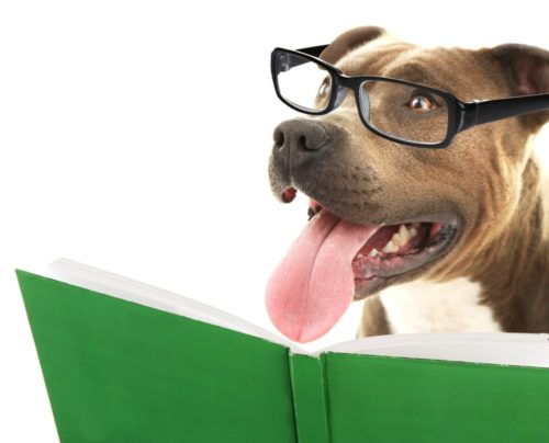 Learn German with Reading Practice: 28 Resources [Beginner to Advanced ...