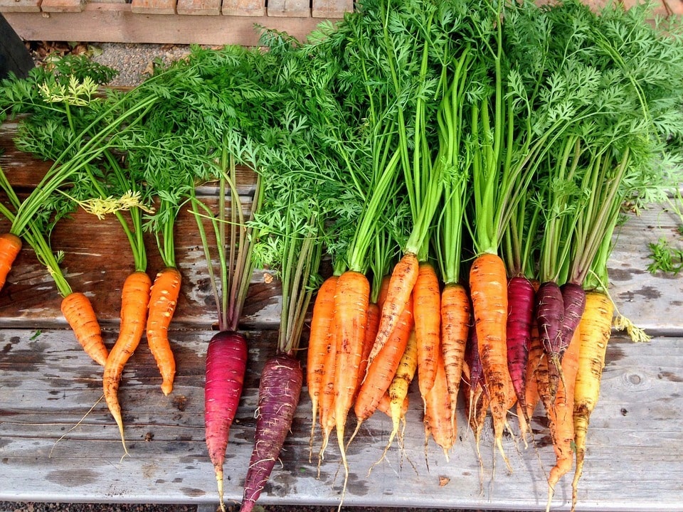 How to Say 58 Common Vegetables in German | FluentU