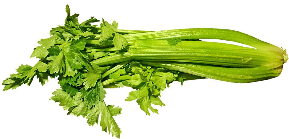 How to Say 58 Common Vegetables in German | FluentU