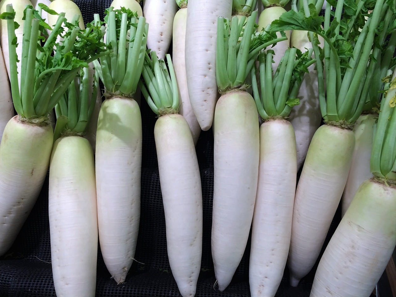 30 Common (and Uncommon) Vegetables in Japanese | FluentU