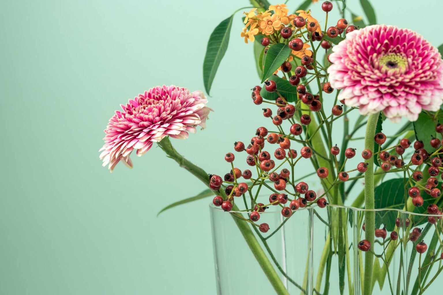 Common Flowers in Japanese, from Names to Hidden Meanings | FluentU